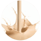 Enhance Fermentation Process with Fresh Liquid Yeast | Lesaffre UK ...
